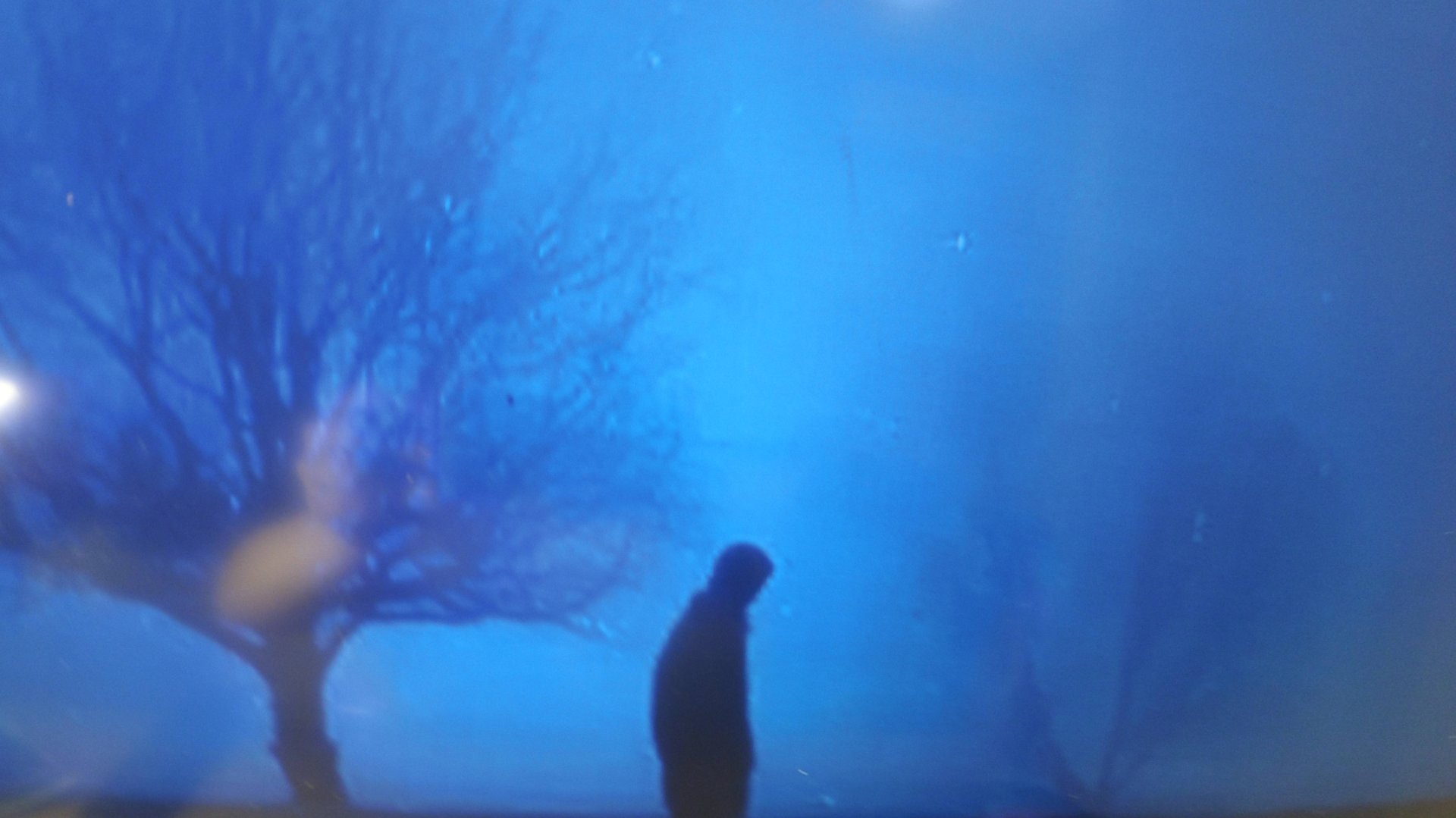 Музыка для сна.