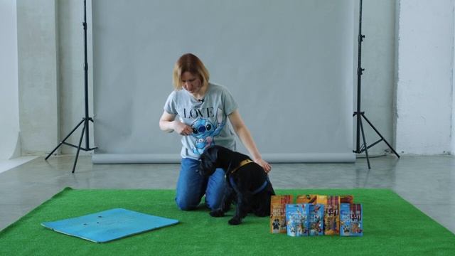 Holly&Jolly - вкусные игры, урок 19