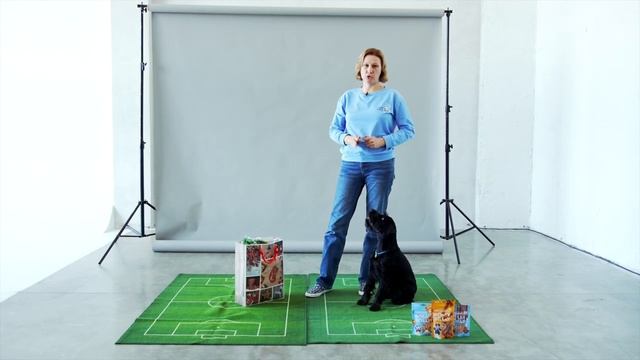 Holly&Jolly - вкусные игры, урок 6