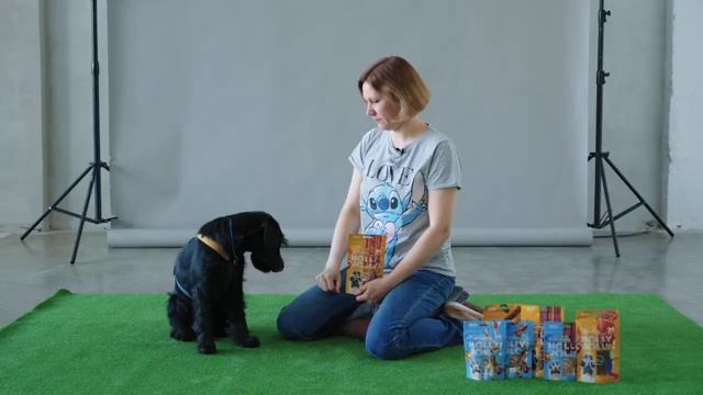 Holly&Jolly - вкусные игры, урок 17