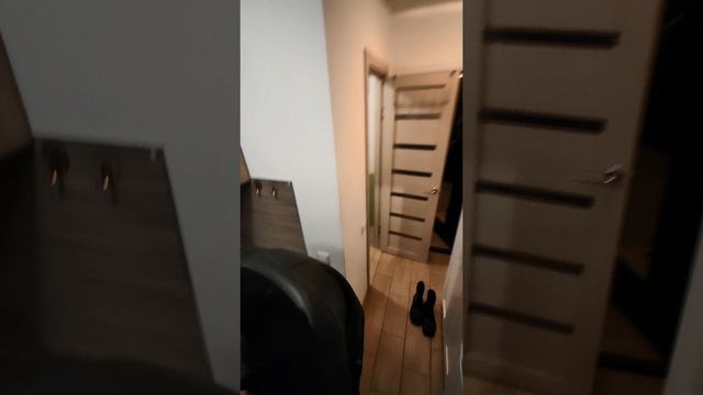 2025 03 27 ПОМОГАЕМ ЕВЕ СНЯТЬ КВАРТИРУ 4К.mp4