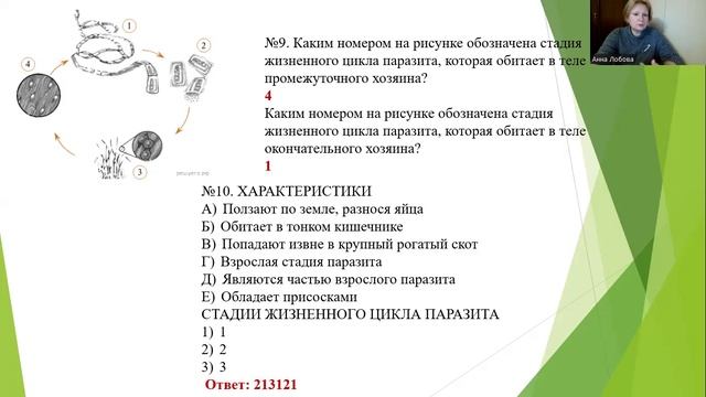 Вопросы ЕГЭ по разделу Зоология