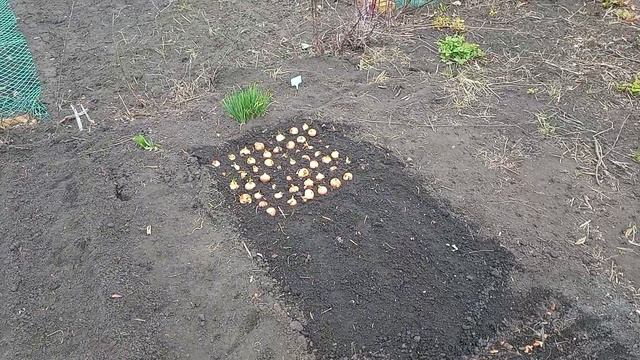 Купила дом в деревне, открыли сезон шашлыков