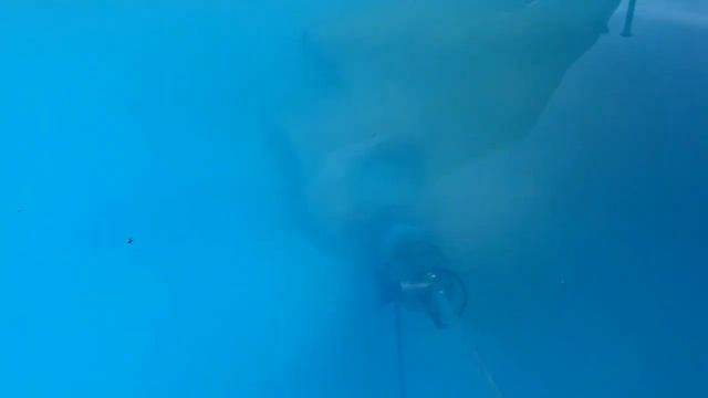 Мутный бассейн