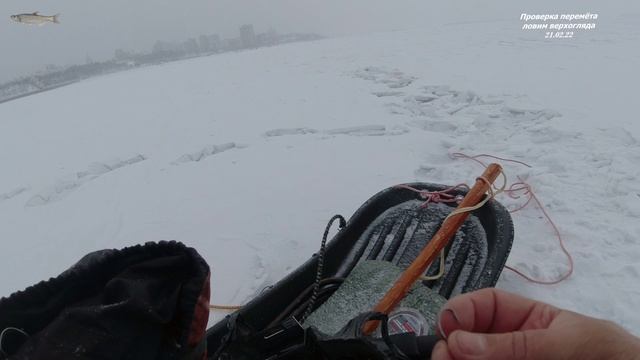 19,Проверка перемёта ловим верхогляда 21.02.22