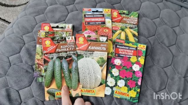 ОТ ЭТИХ СЕМЯН НИ ЗА ЧТО НЕ ОТКАЖУСЬ! ОБЗОР ЛУЧШИХ СОРТОВ НА 2025 ГОД.