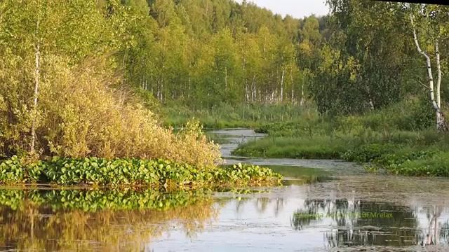 Релакс музыка, Инструментальная музыка для сна и медитации