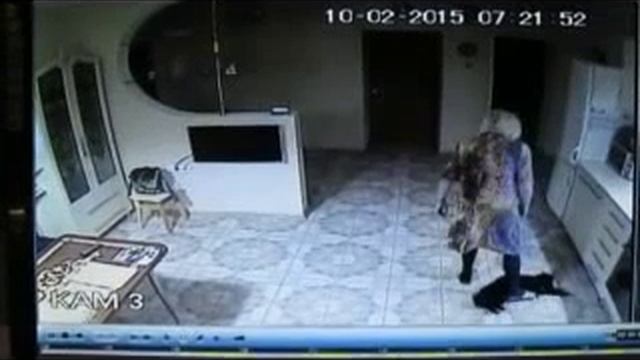 ВЫПРОВАЖИВАНИЕ    КОТА