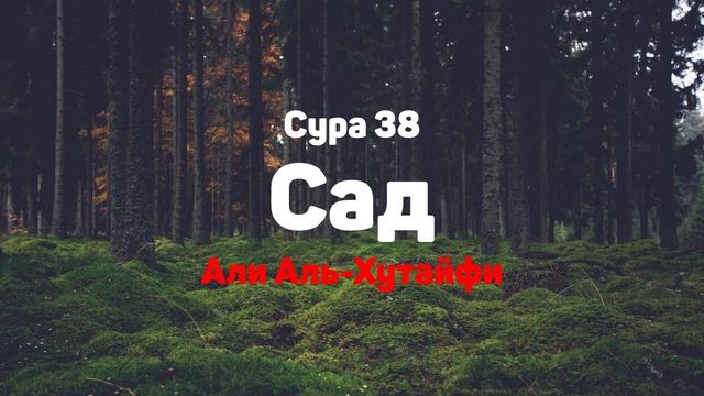 Сура 38 Сад - Али Аль-Хутайфи