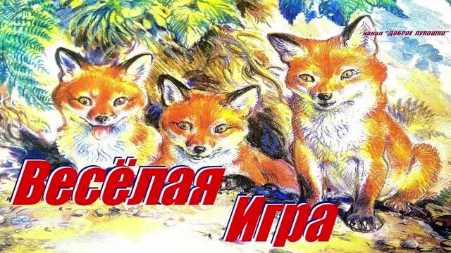 ВЕСЁЛАЯ ИГРА — Рассказ, Николай Сладков | Рассказы про животных для детей, интересные рассказы
