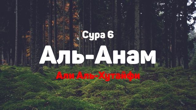 Сура 6 Аль-Анам - Али Аль-Хутайфи