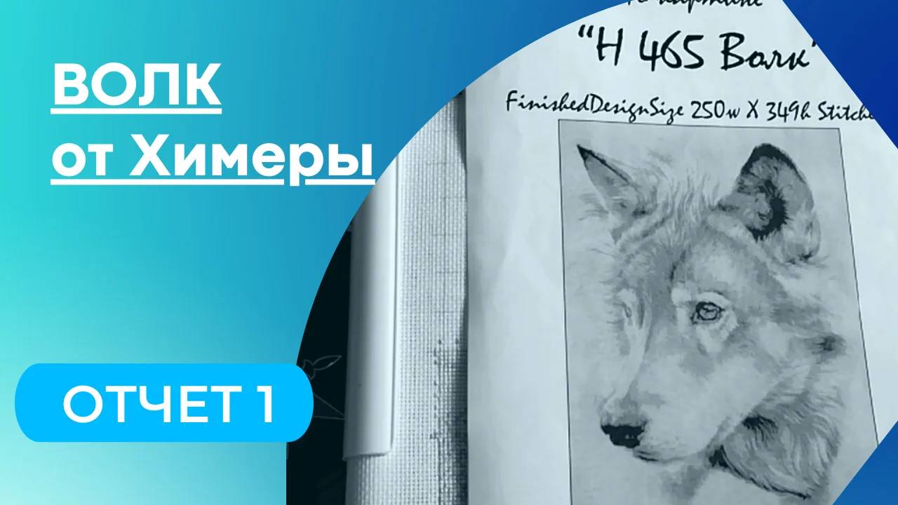 Волк от Химеры - ОТЧЕТ 1 в  СП Больше, чем просто большая