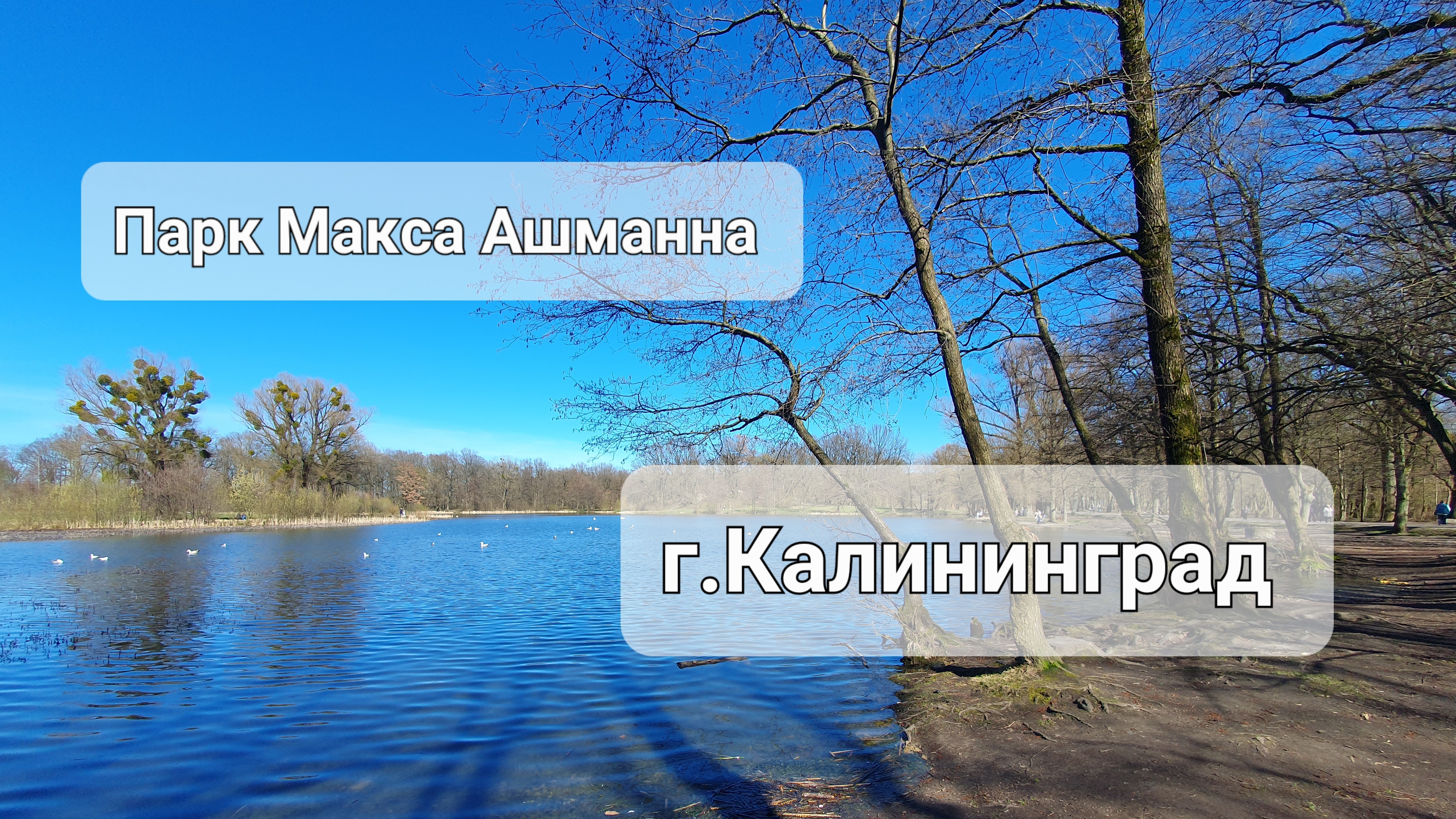 Прогулялась по весеннему парку Макса Ашманна.