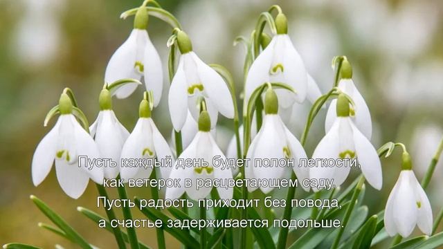 Поздравление с 8 марта