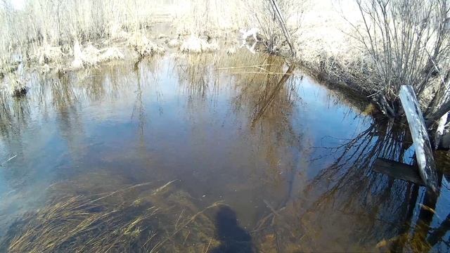 Полная река Чебака