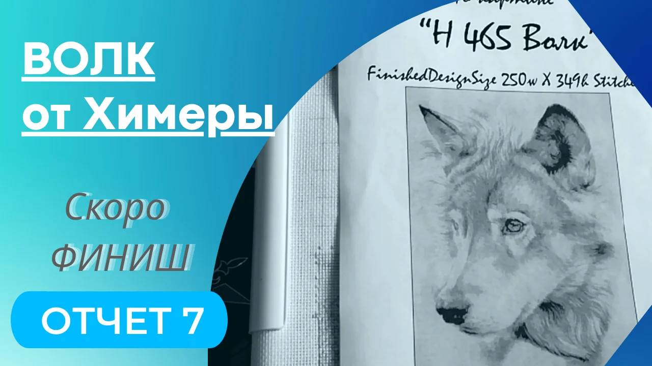 ВОЛК - вышивка по схеме Химеры, отчет 7
