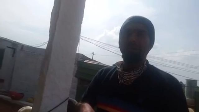 GoShala Interview with Satish - Sri Krishna Gaushala Foundation