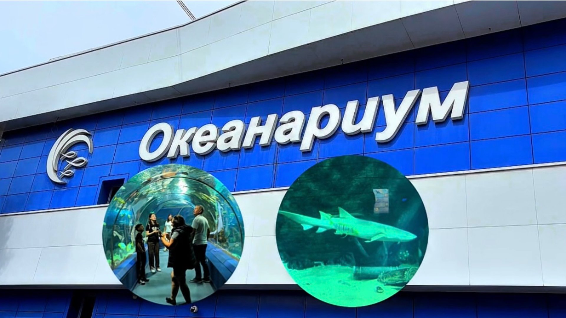 ОКЕАНАРИУМ АДЛЕР. Sochi Discovery World Aquarium.