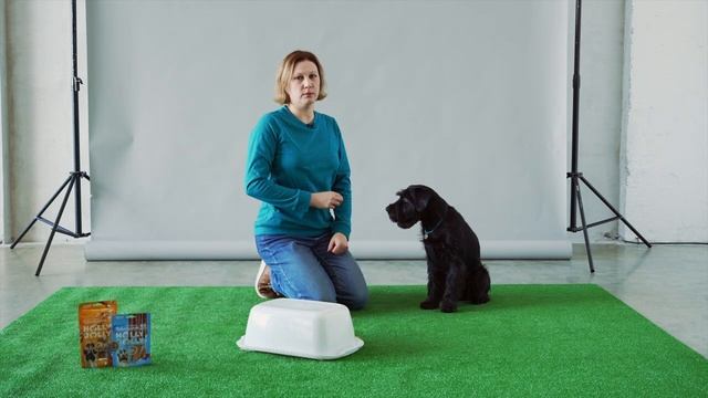 Holly&Jolly - вкусные игры, урок 12