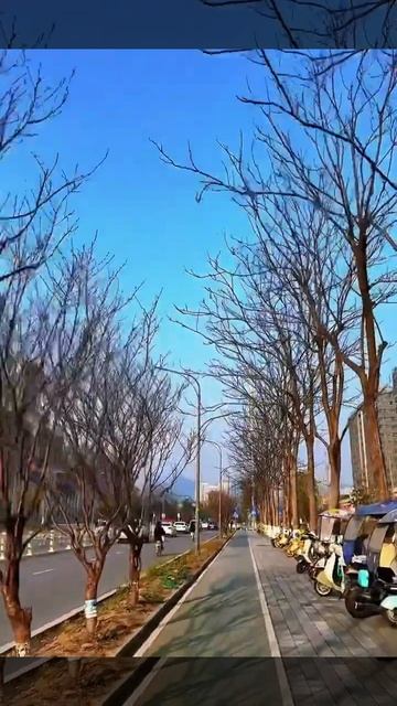 Весенний заряд: Мопед, город и пробуждение природы!  #весна2025 #китай #природа #цветы #растения