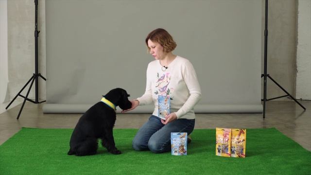 Holly&Jolly - вкусные игры, урок 16