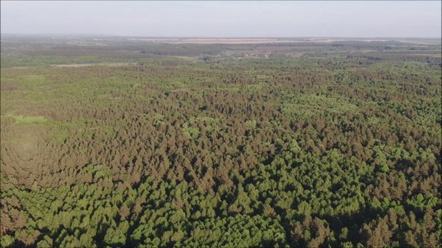 ИЧАЛКОВСКИЕ ПЕЩЕРЫ СЪЕМКИ С ДРОНА