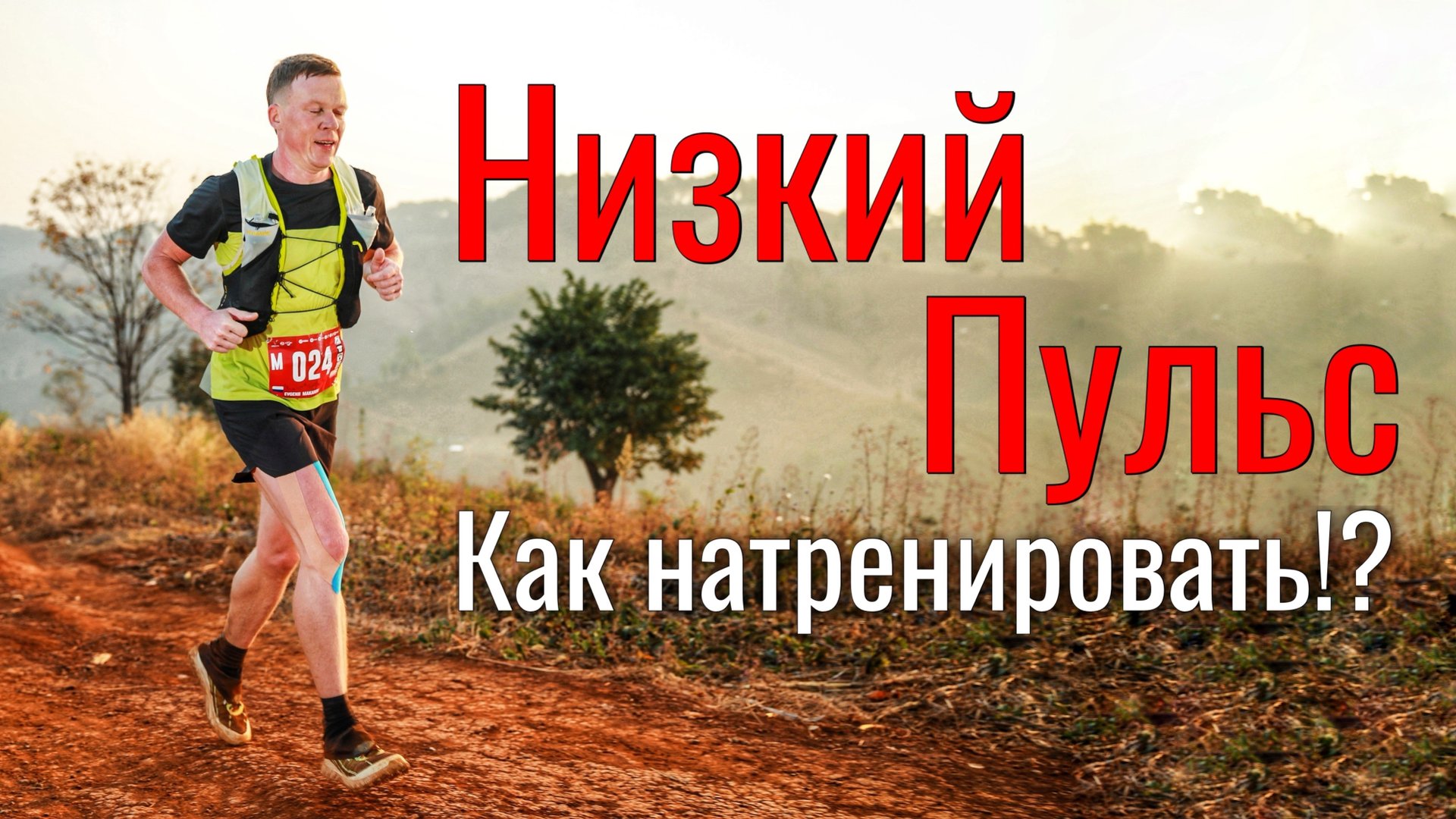 Как натренировать Низкий Пульс?