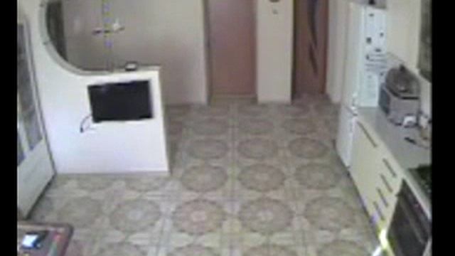 ВЫПРОВАЖИВАНИЕ  КОТА   С возвратом