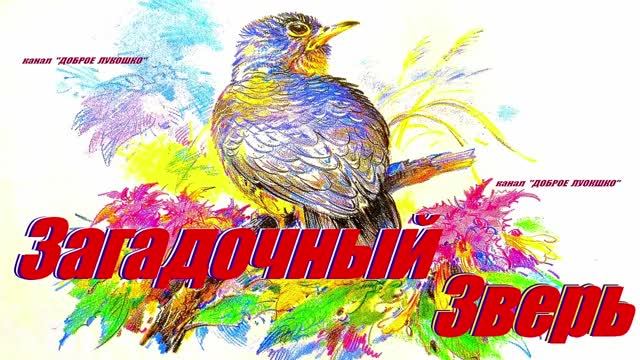 ЗАГАДОЧНЫЙ ЗВЕРЬ — Рассказ, Николай Сладков | Аудиорассказ про животных, рассказы Сладкова