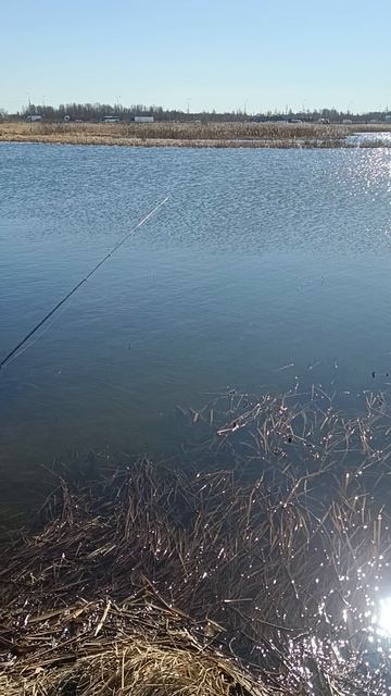 Открытие поплавочного сезона 2025.