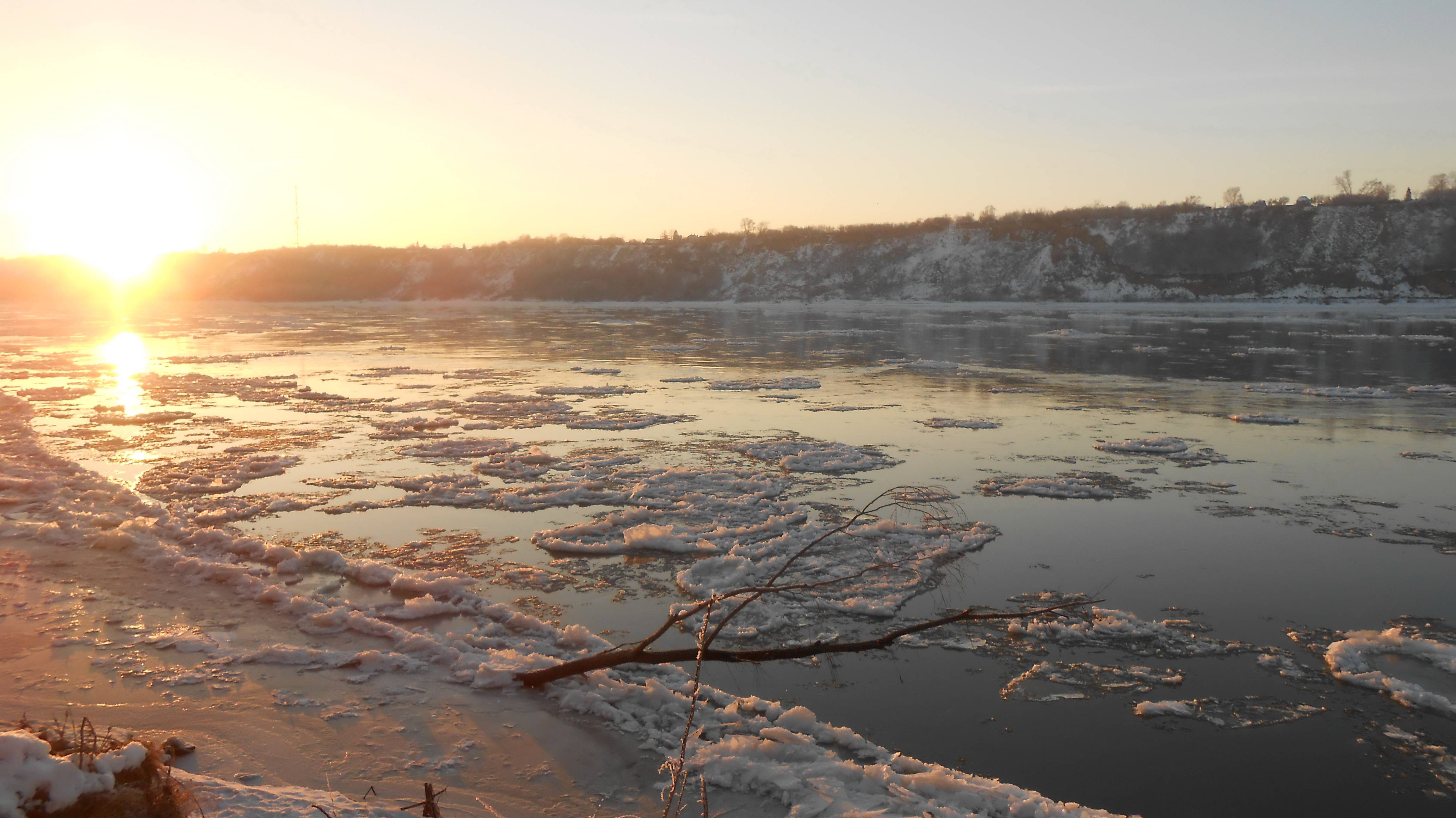 Чудесное ЯВЛЕНИЕ!