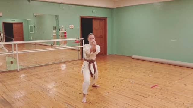 Подготовка к всероссийским соревнованиям по всестилевому карате "Кубок Петра ВЕЛИКОГО" в Питере