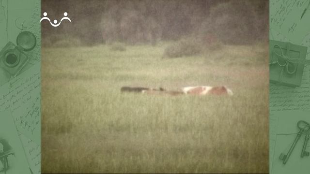 Мой живой журнал. Иван Бунин