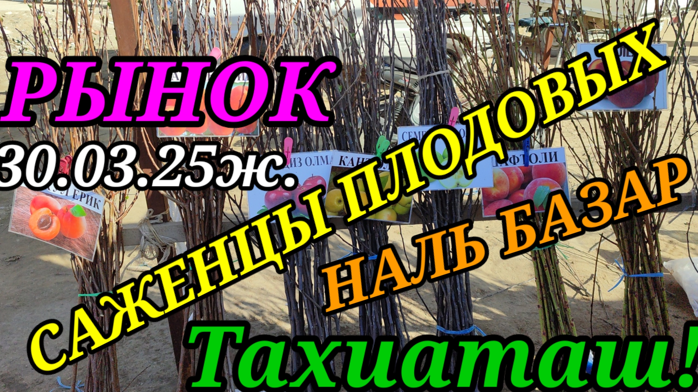 03-04-2025 САЖЕНЦЫ ПЛОДОВЫХ