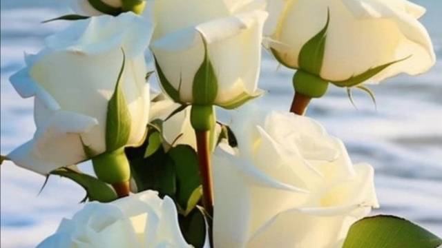 Вечернее видео.