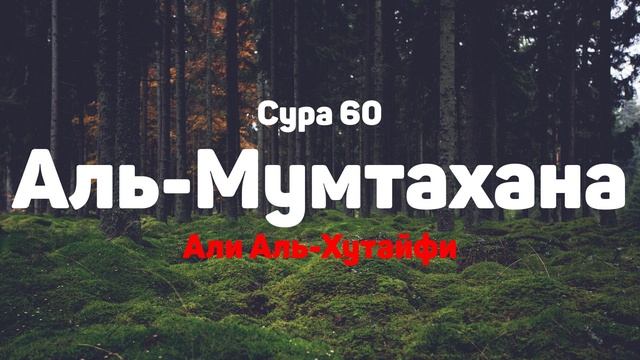 Сура 60 Аль-Мумтахана - Али Аль-Хутайфи