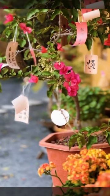 Волшебная природа Китая: цветущие сады, гармония и умиротворение  #китай #природакитая #цветы