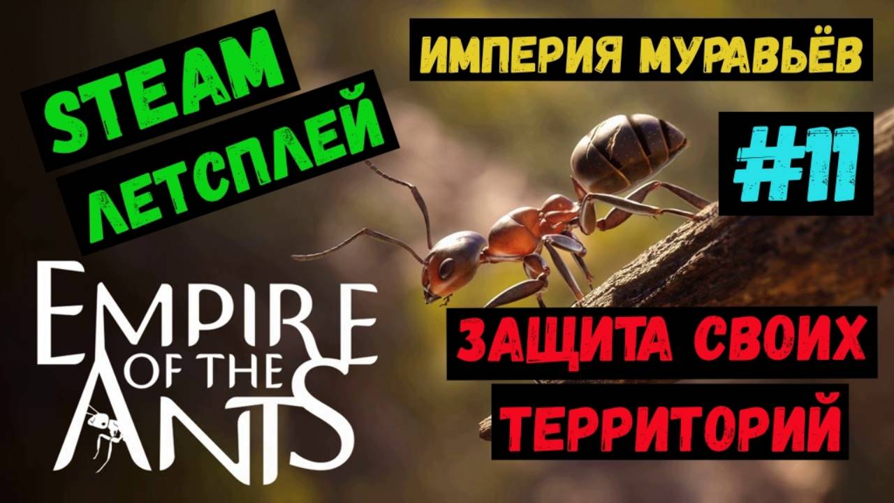 Защита своих территорий  / Empire of the Ants / Империя Муравьев / Steam ЛЕТСПЛЕЙ / GAMEPLAY / #11