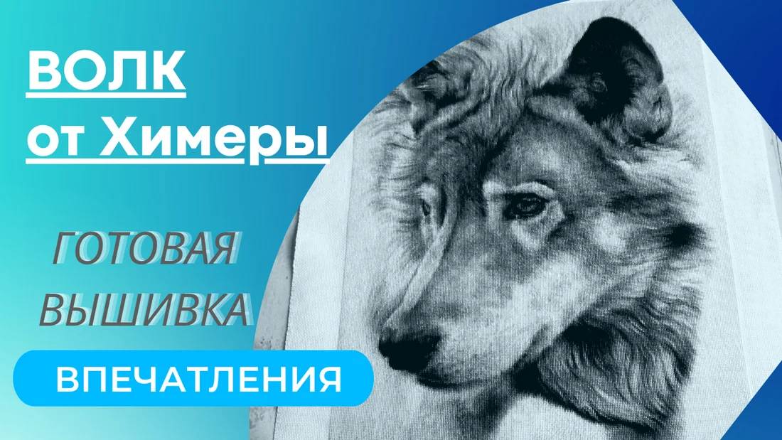 ВОЛК от Химеры. ФИНАЛ. Впечатления, эмоции, фото
