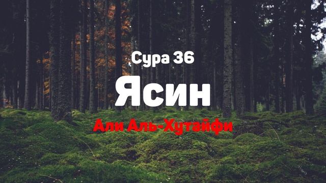Сура 36 Ясин - Али Аль-Хутайфи