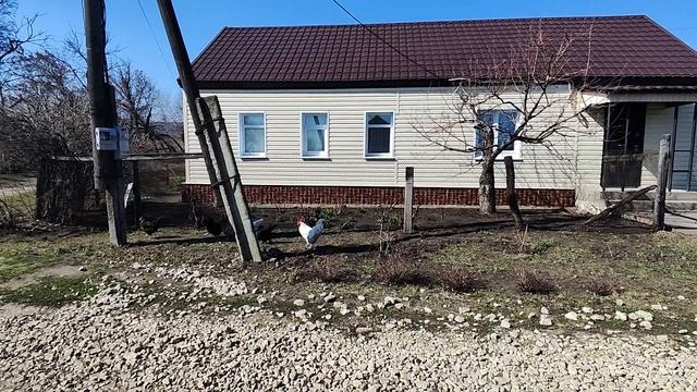 Саратов Хвалынск ищем и кормим бездомных кошек, смотрите кого мы встретили!!!