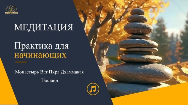 Мед-Туяна-001-Music-01