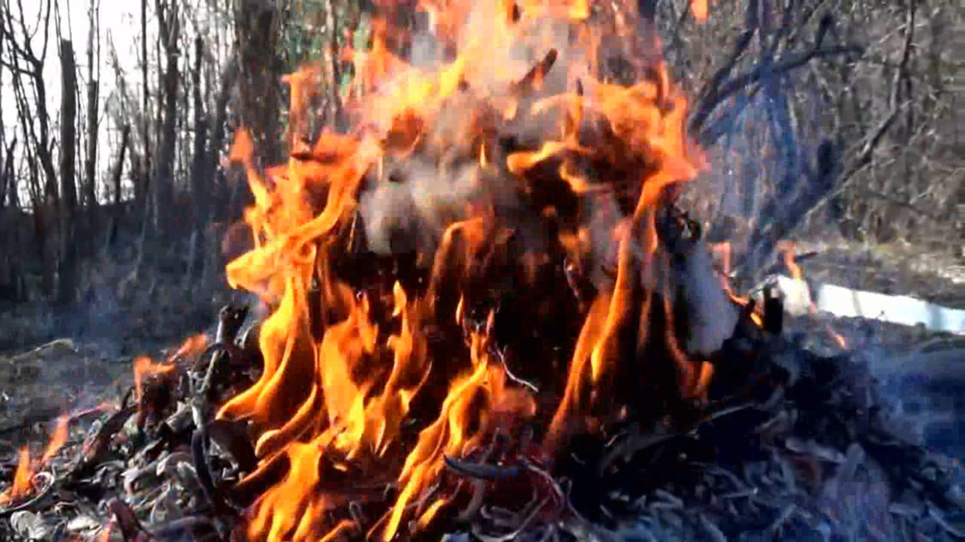 Небольшой костер на даче