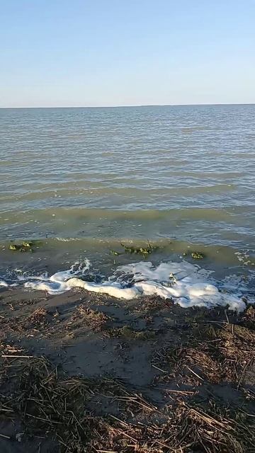 Приехали на озеро Чаны