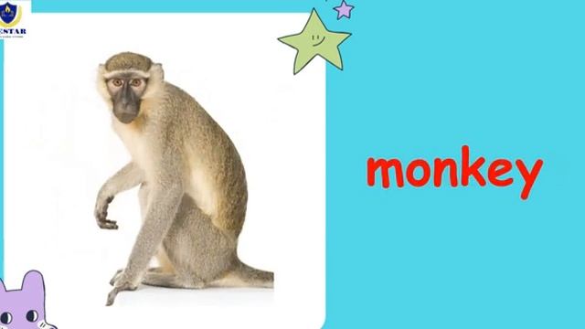 69 My little island 3. Unit 8