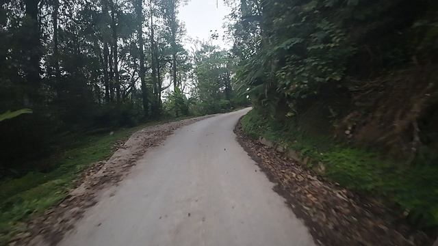 14 Cameron Highlands, Tanah Rata, подъём на машине в Mossy Forest , Малайзия.