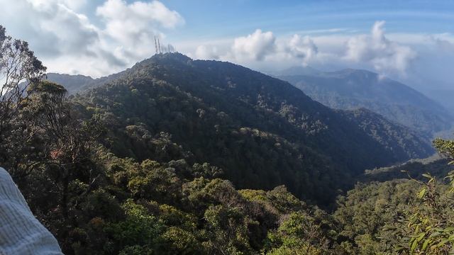 14 Cameron Highlands, Tanah Rata, облака в Mossy Forest , Малайзия.