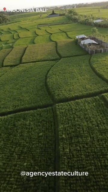 БАЛИ - ЭТО МЕСТО, ГДЕ ПОВСЕДНЕВНОСТЬ ТАНЦУЕТ  С ВЕЧНОСТЬЮ I НЕДВИЖИМОСТЬ В ИНДОНЕЗИИ I ИНВЕСТИЦИИ I