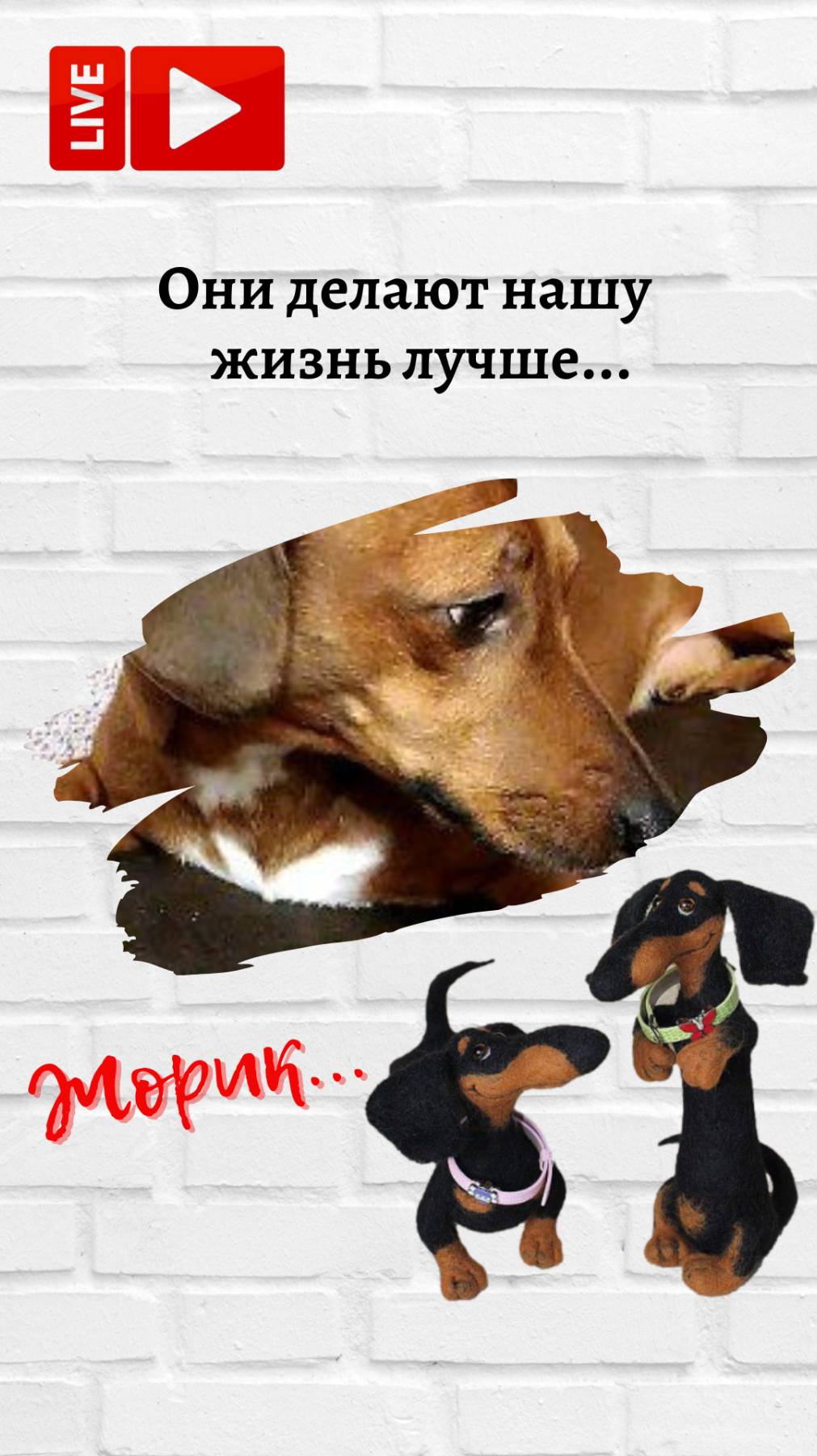 ✅ Живи активно...