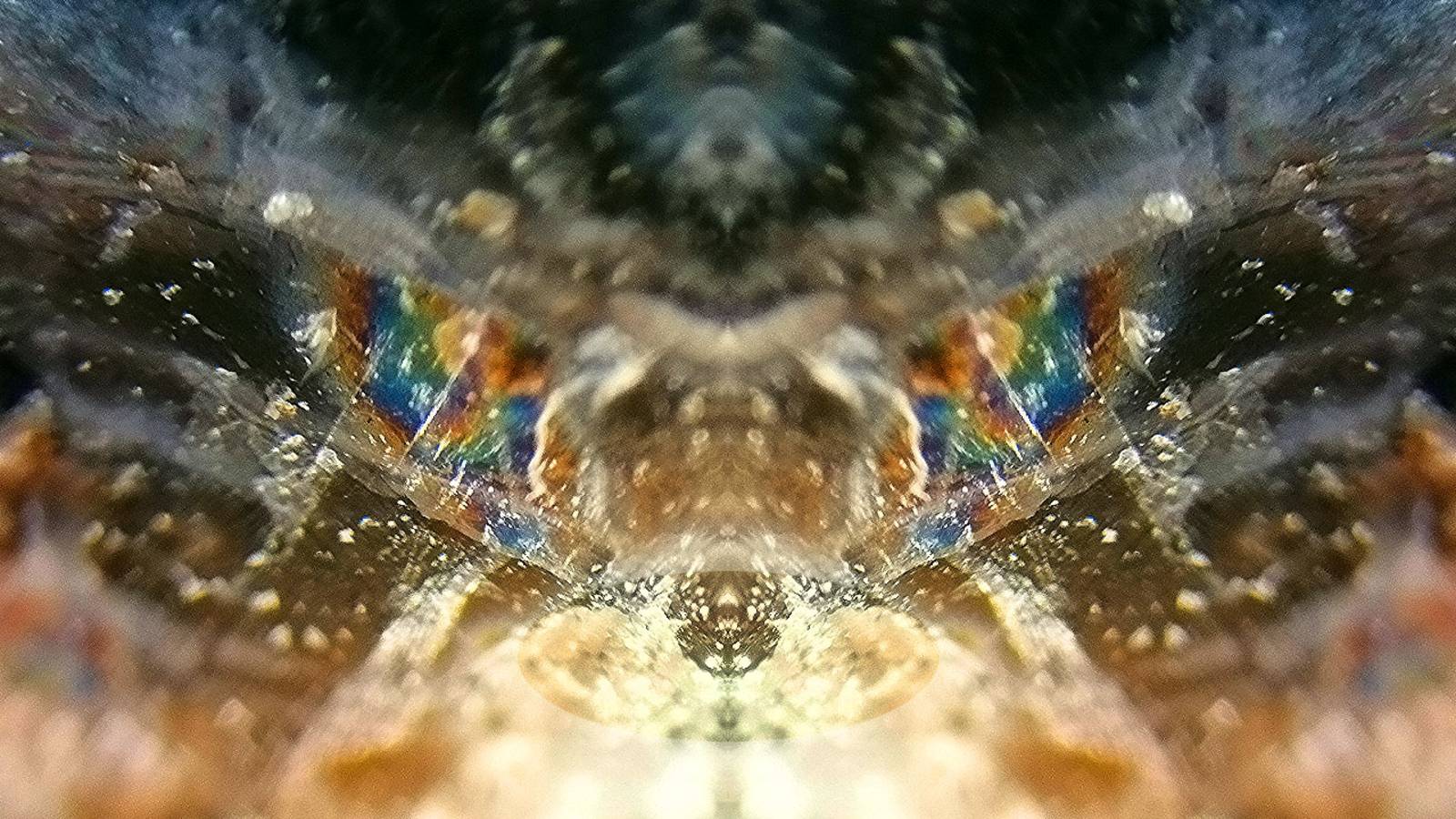 Минералы земли. Гранит в отражении. Тайные знаки и необычные образы. Часть 1.